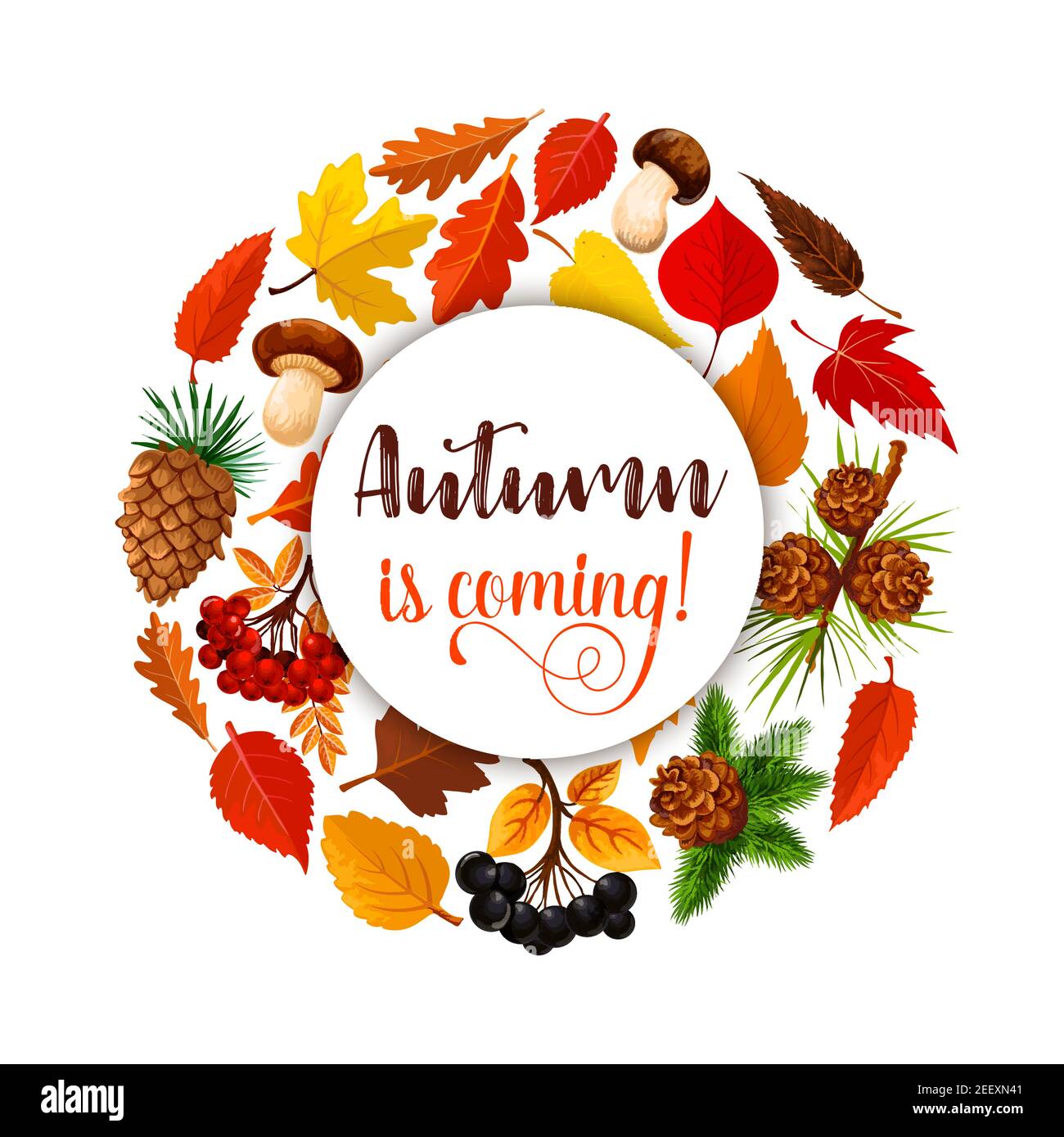 Autumn poster of fall nature season. Yellow maple leaf, orange foliage ...