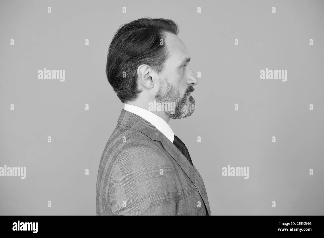 Man handsome mature bearded face wearing suit, formal fashion concept ...