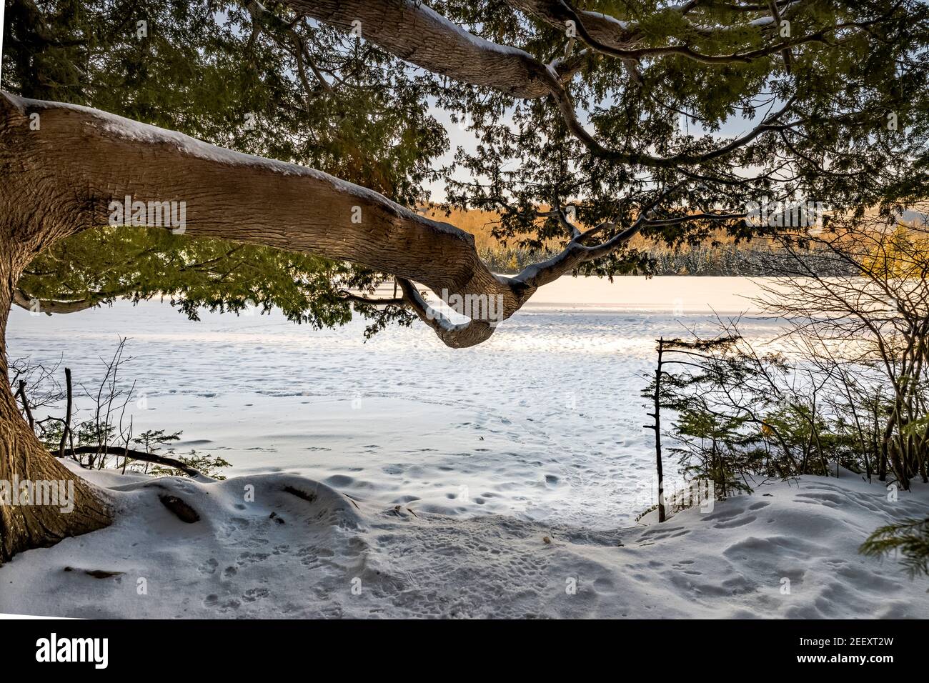 HEART LAKE ADIRONDACK LOJ LAKE PLACID ADIRONDACKS NEW YORK USA Stock ...
