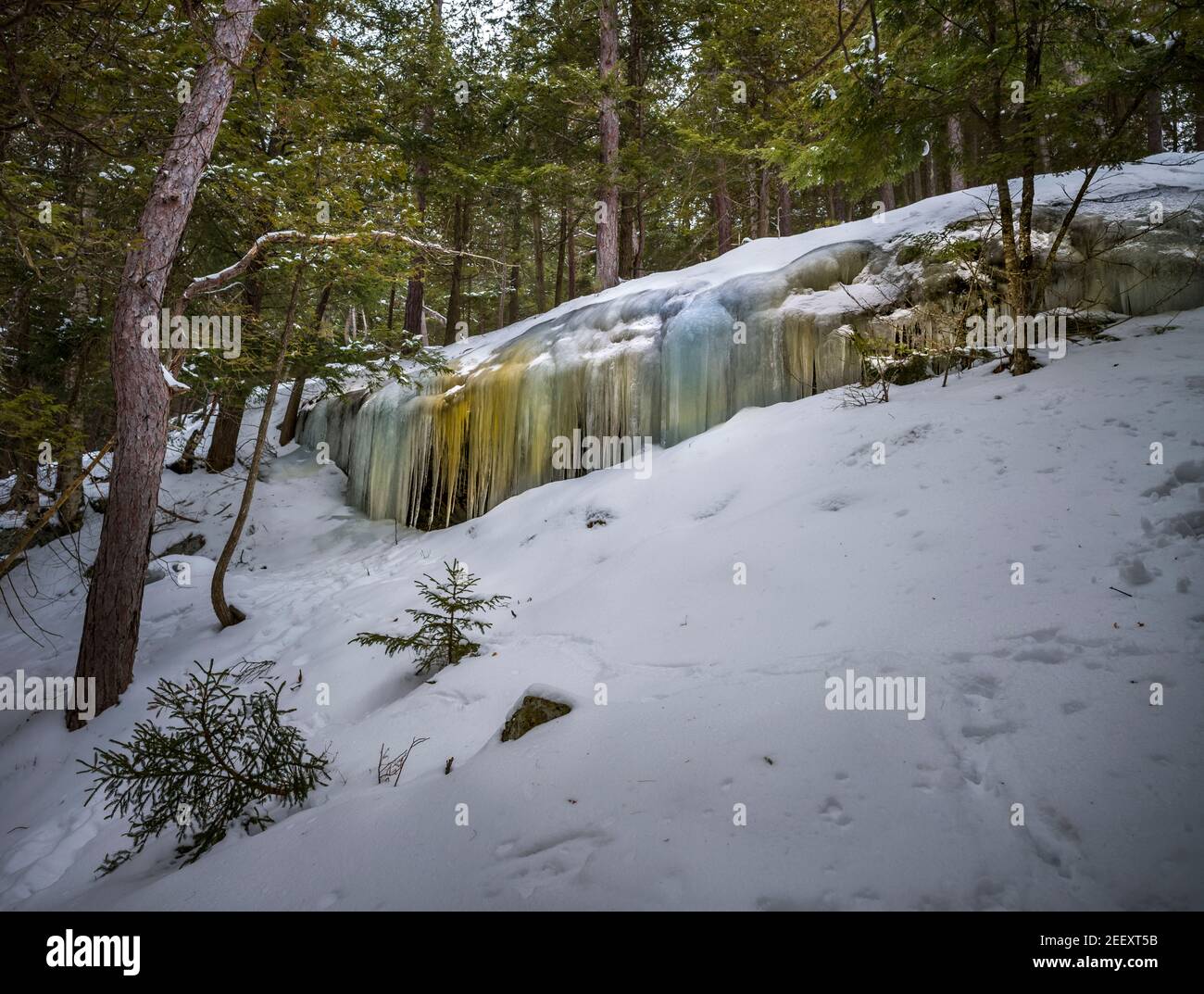 THE POINT LAKE SARANAC ADIRONDACKS NEW YORK USA Stock Photo - Alamy