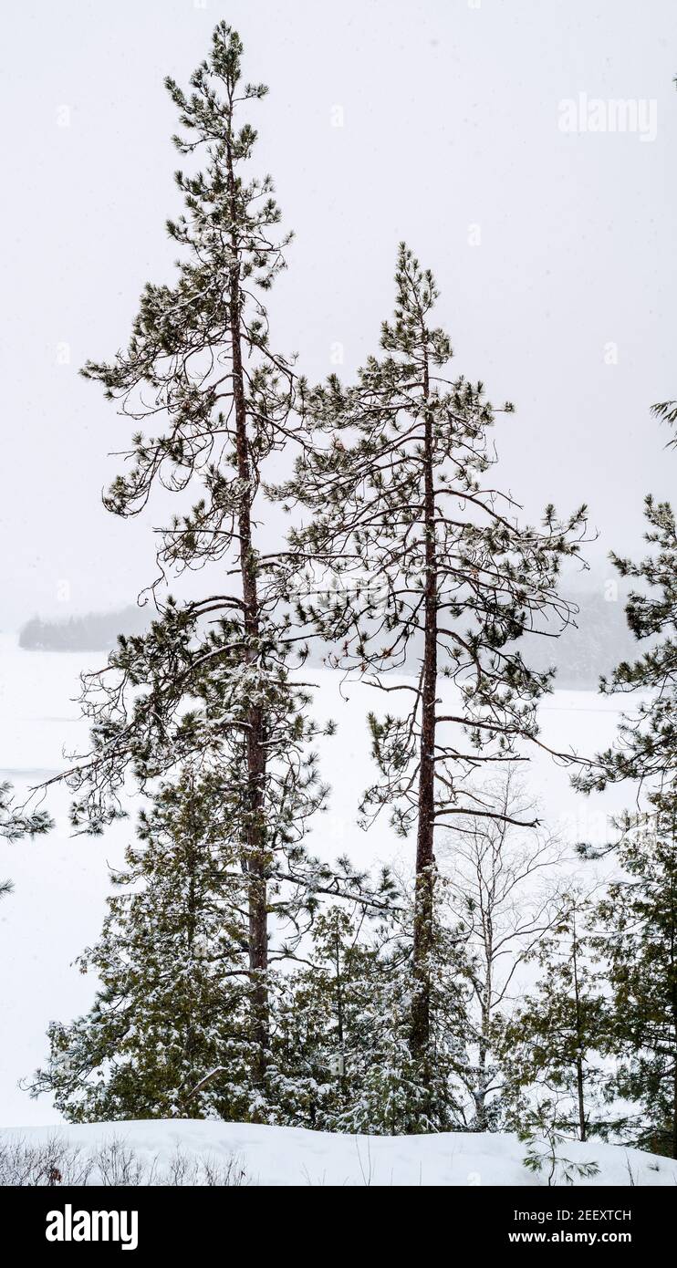 THE POINT & UPPER SARANAC LAKE LAKE SARANAC ADIRONDACKS NEW YORK USA ...
