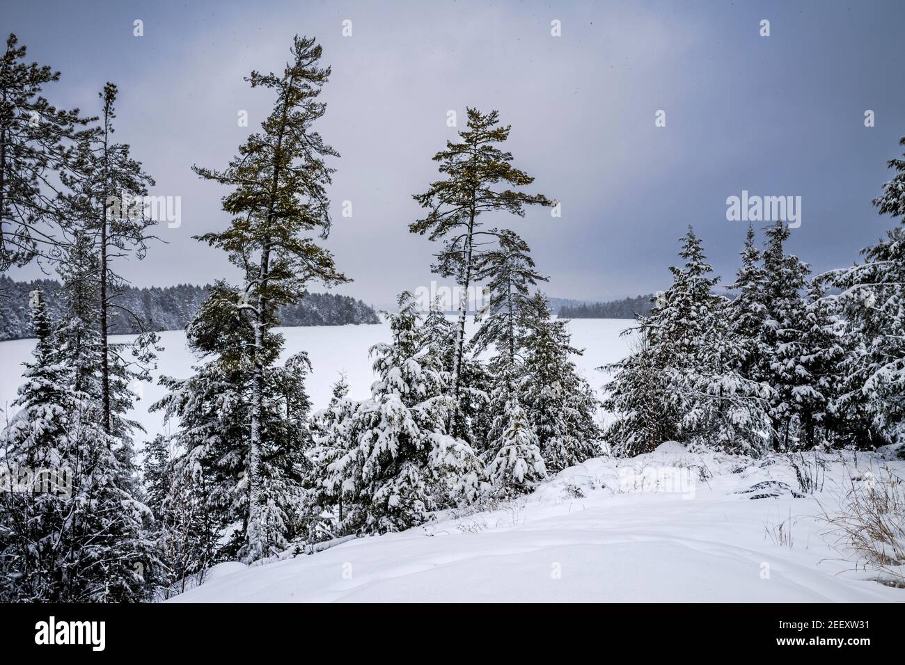 THE POINT & UPPER SARANAC LAKE LAKE SARANAC ADIRONDACKS NEW YORK USA ...