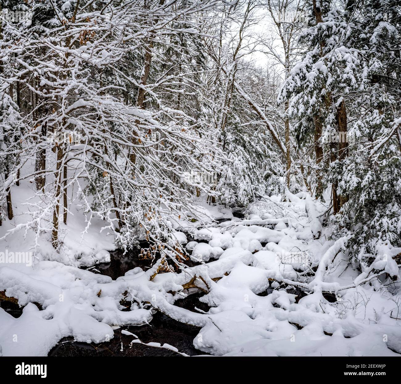 Brook trail hi-res stock photography and images - Alamy