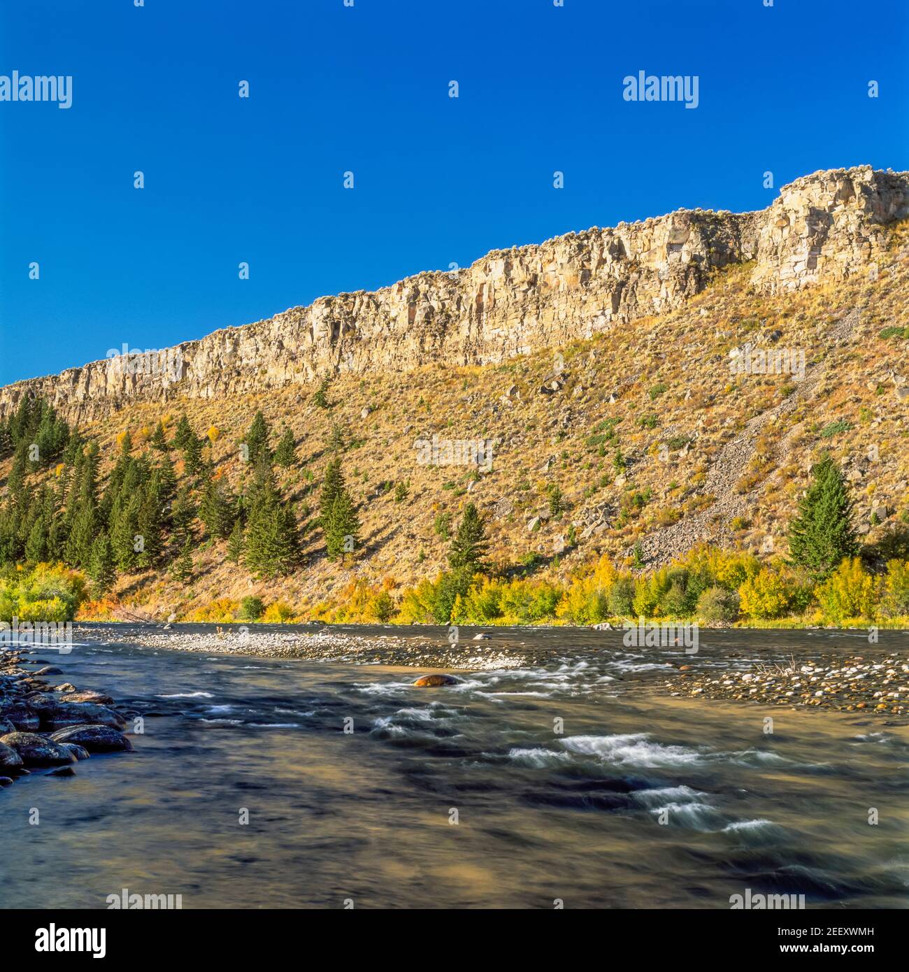 early autumn along the madison river below the palisades near cameron ...