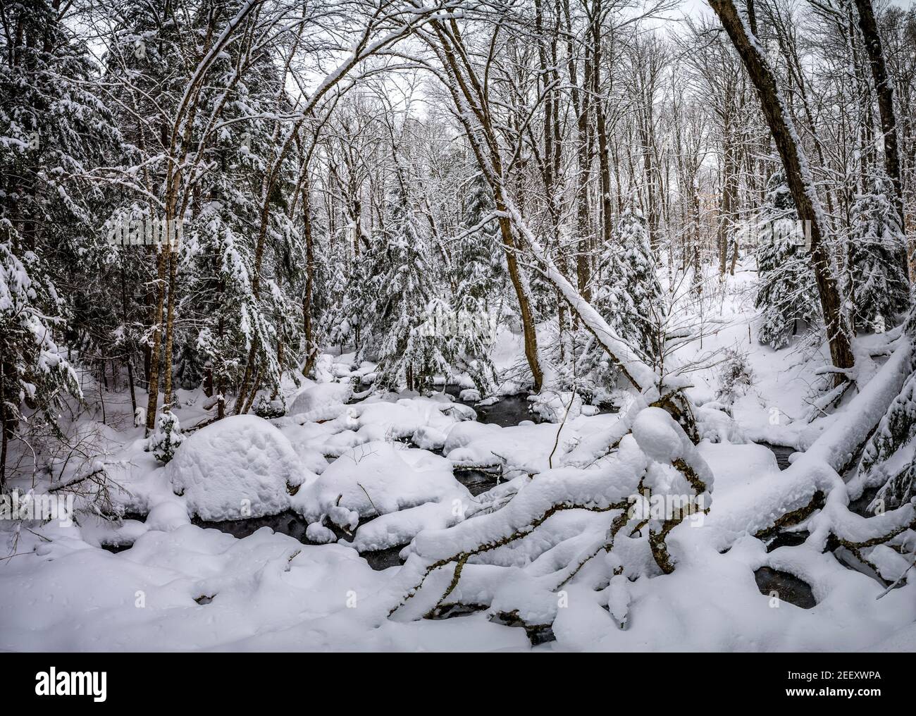 Brook trail hi-res stock photography and images - Alamy