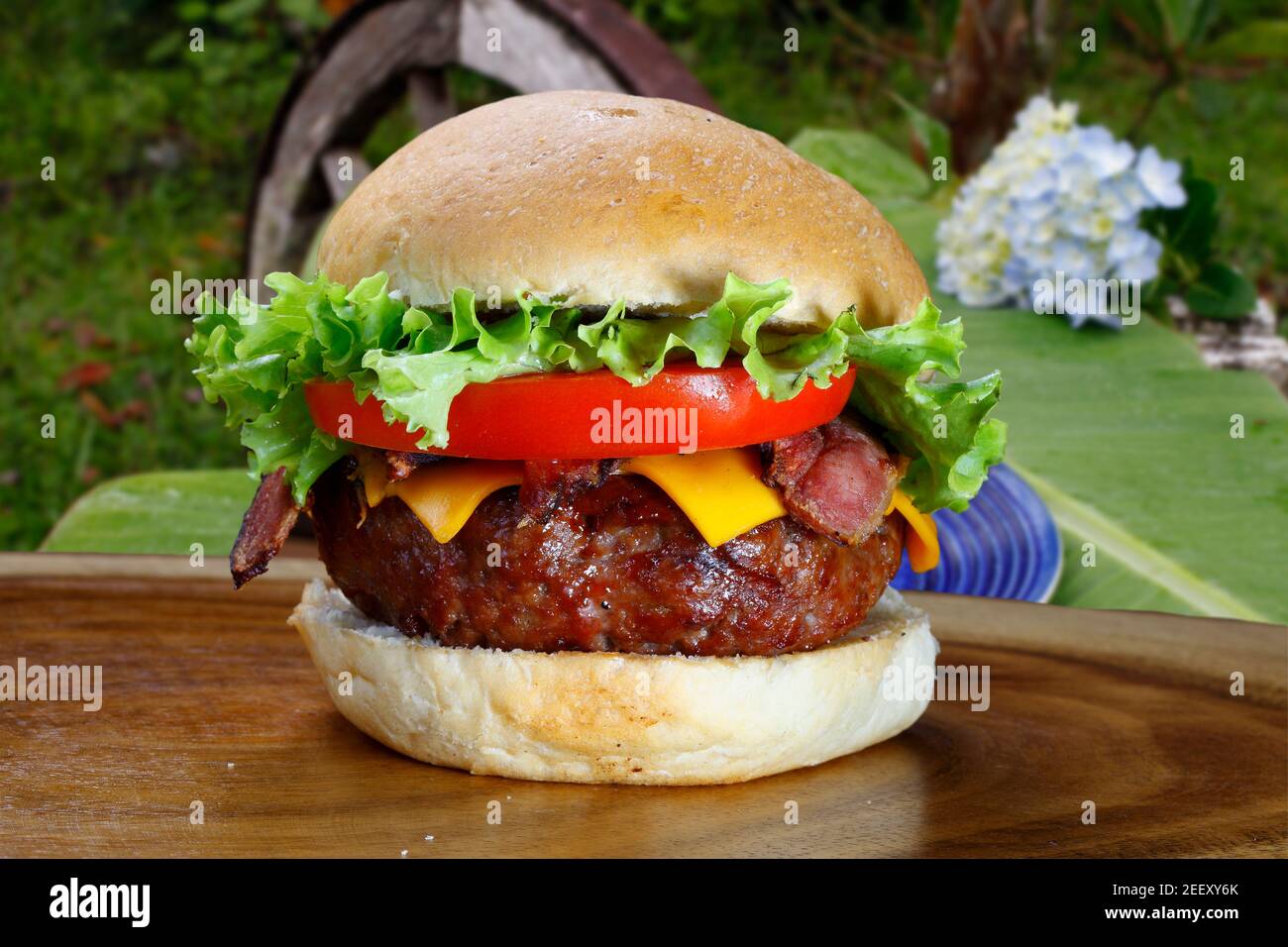 American buger hi-res stock photography and images - Alamy