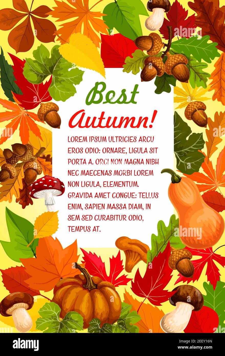 Autumn leaf and pumpkin banner for fall season harvest template. Autumn ...