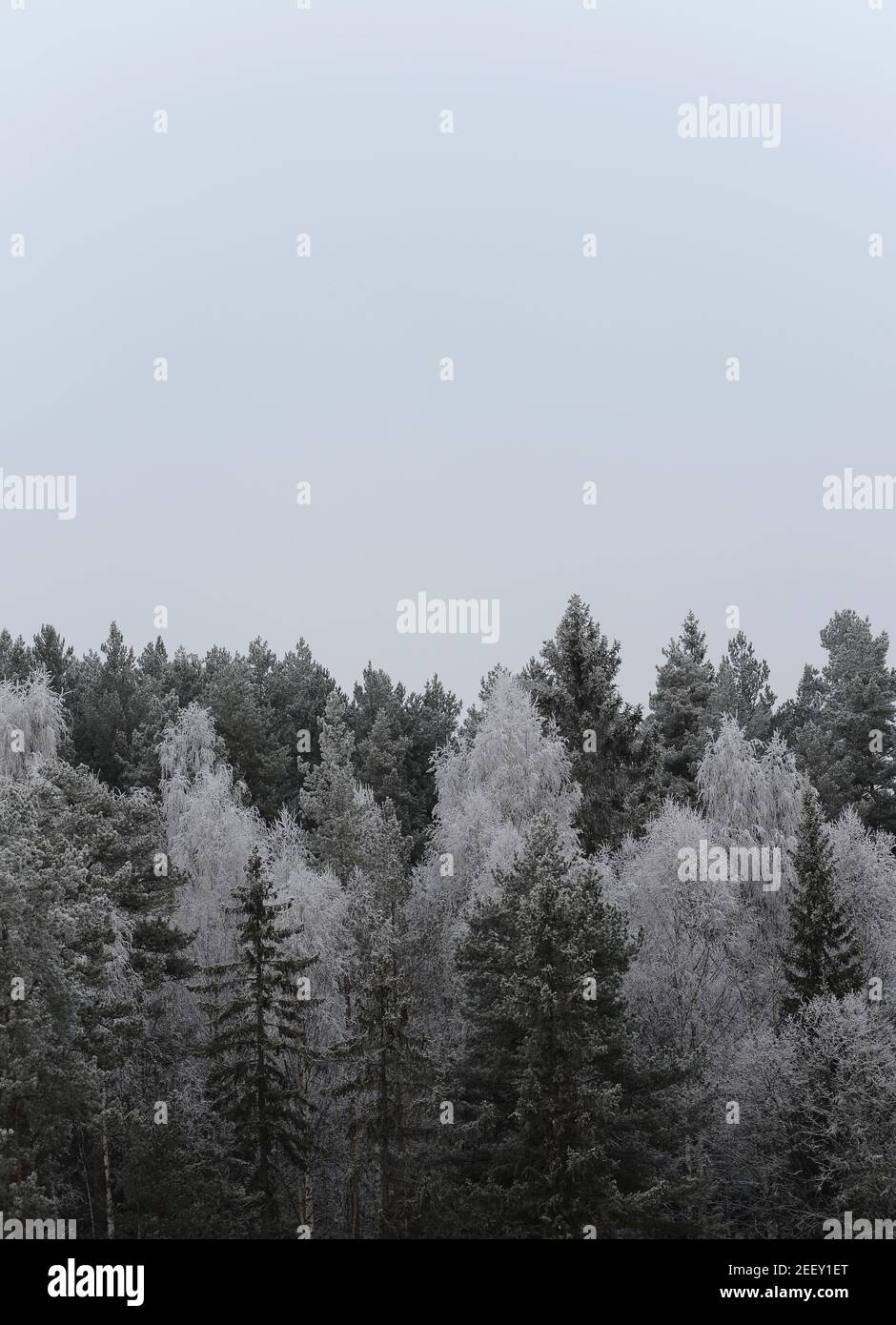 Fog rime hi-res stock photography and images - Alamy