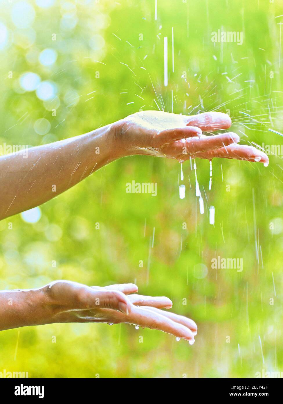 female hands under warm rain shower Stock Photo - Alamy