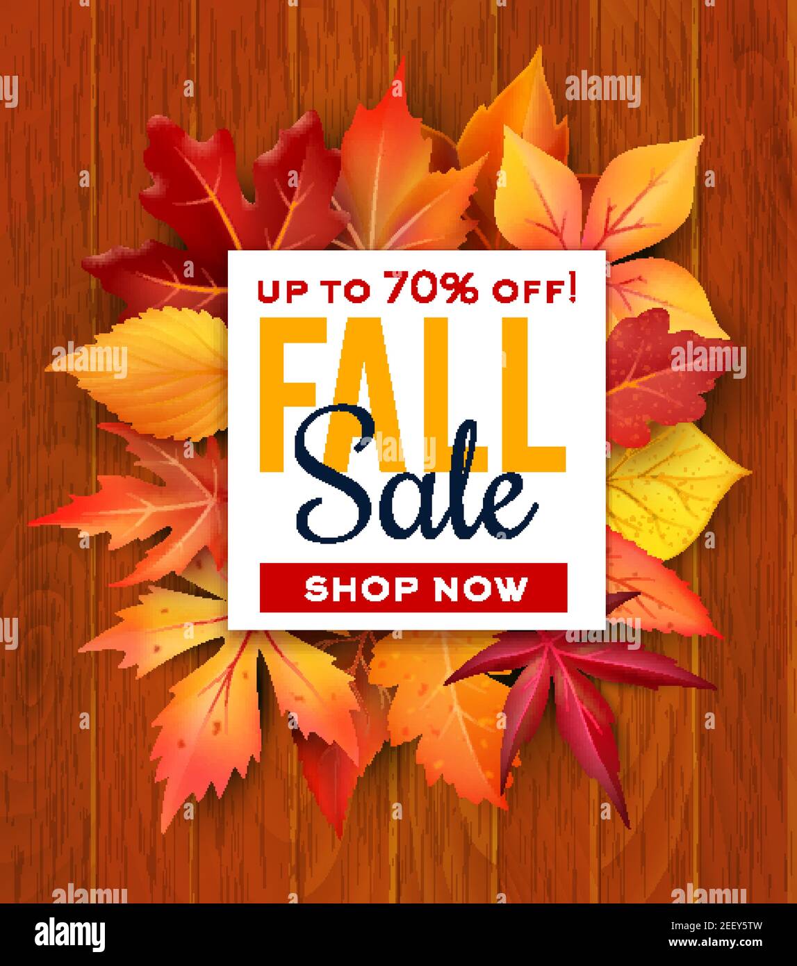 Beech wood autumn Stock Vector Images - Alamy