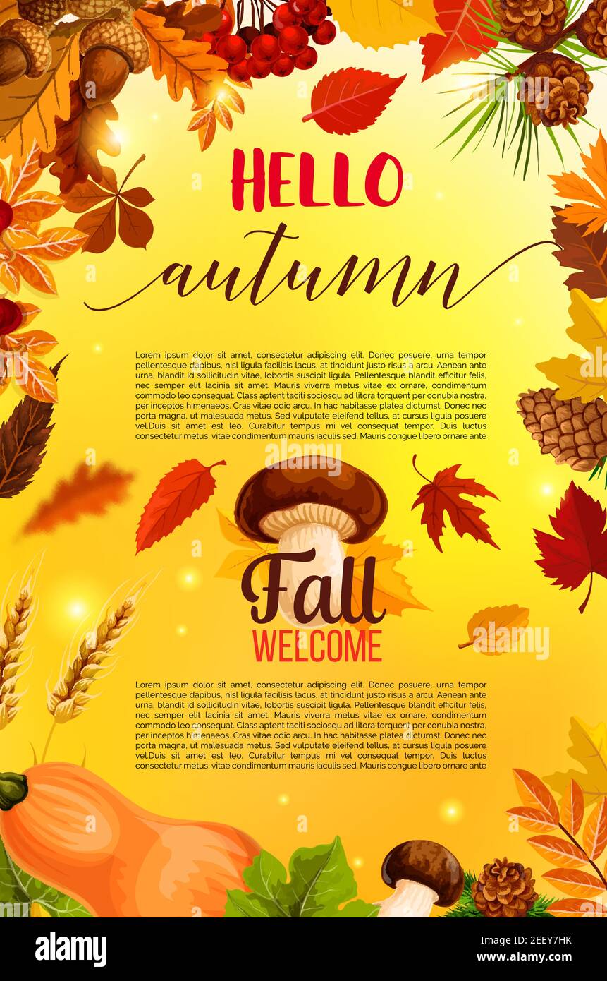 Hello autumn banner with fall nature frame. Orange maple leaves ...