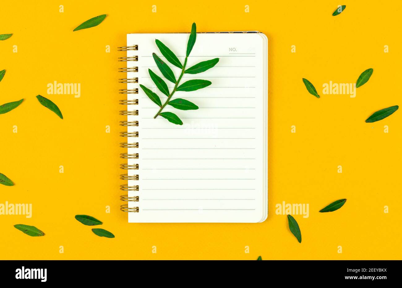 Notepad in lines with green leaves, flat lay mockup of spring ...