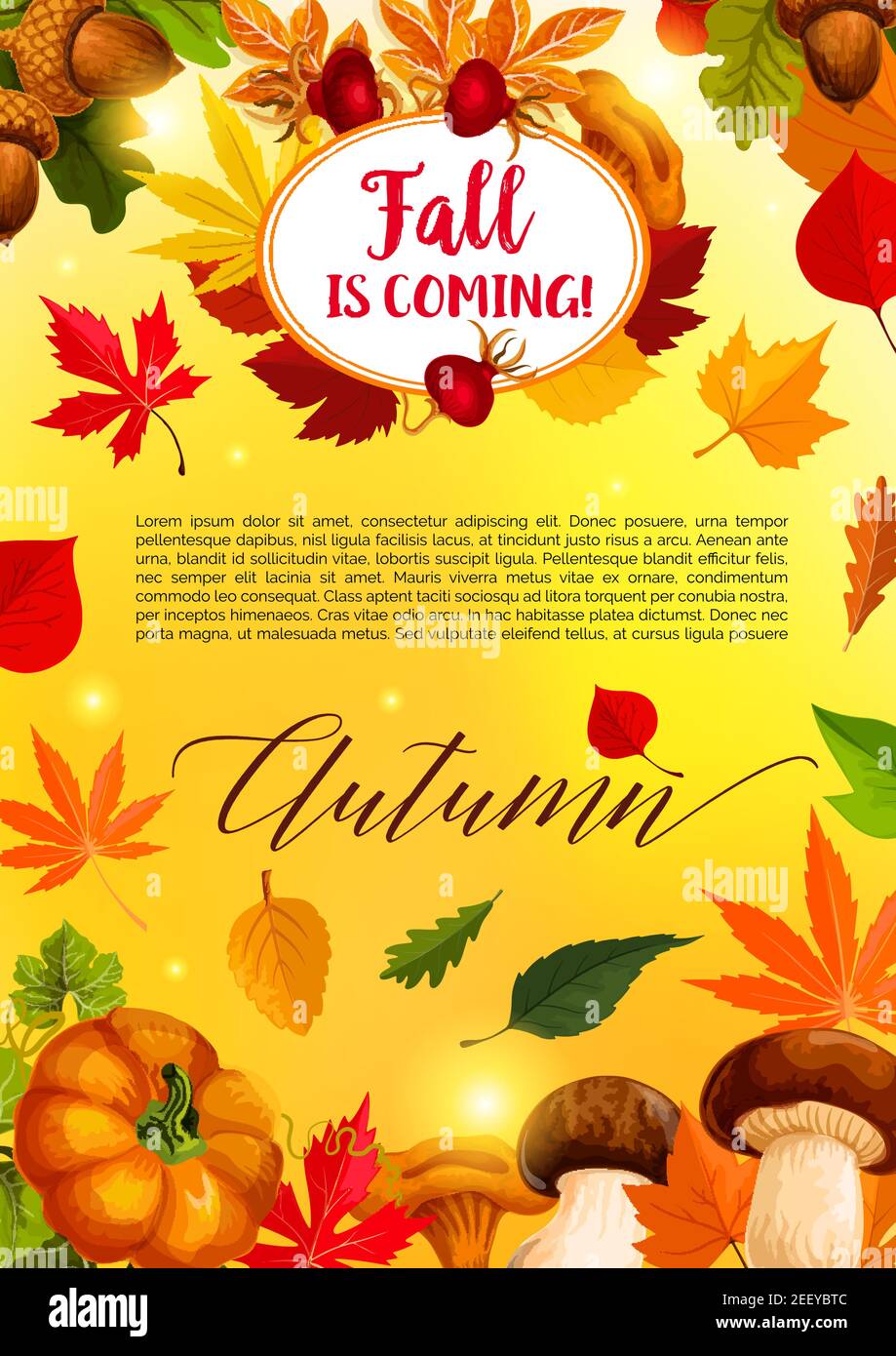 Autumn leaf and harvest vegetable banner template. Fall season maple ...