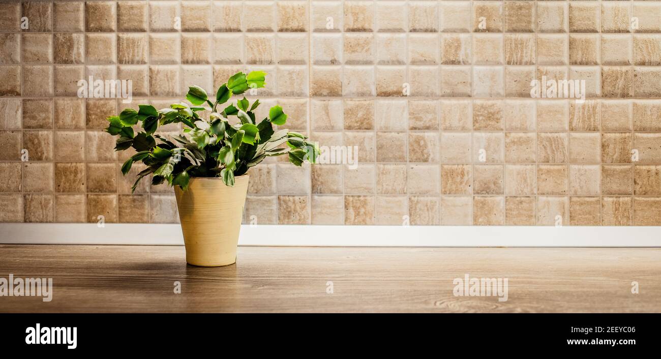 flower pot on wooden desk space and tiles home background Stock Photo ...