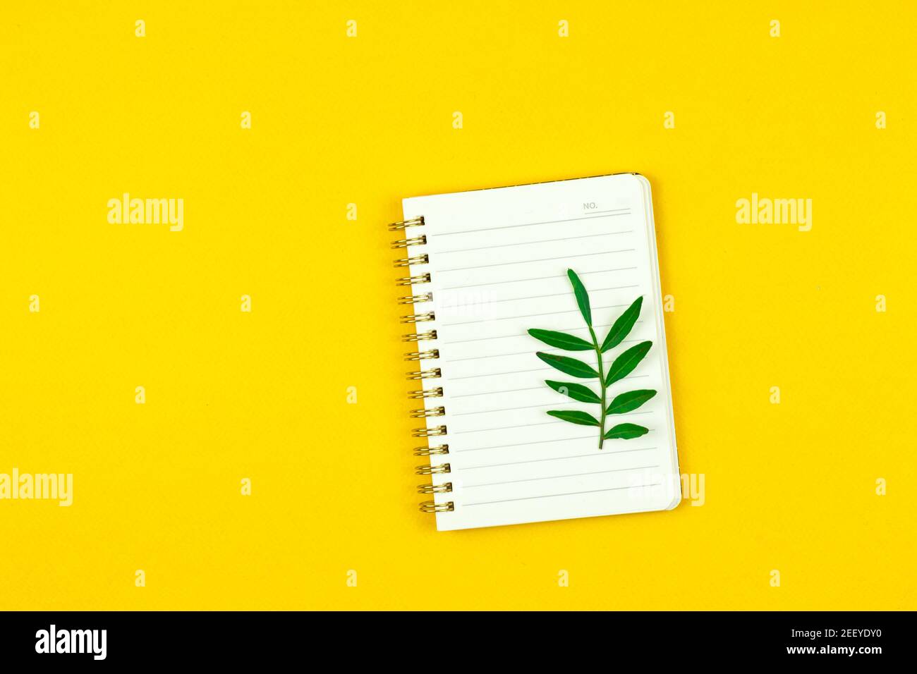Spring notepad design or mockup on yellow background with green leaves ...