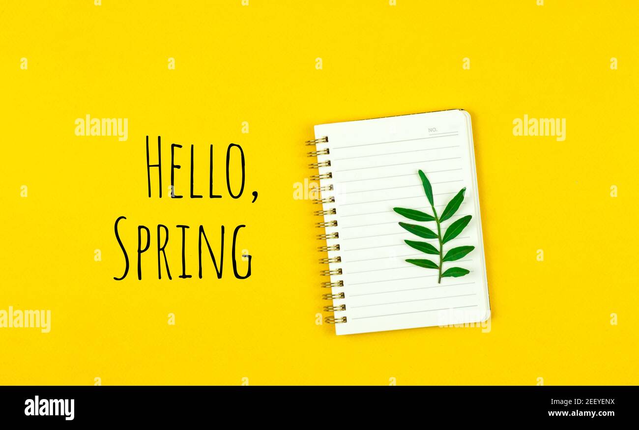 Hello Spring bright and colorful yellow background with text ...