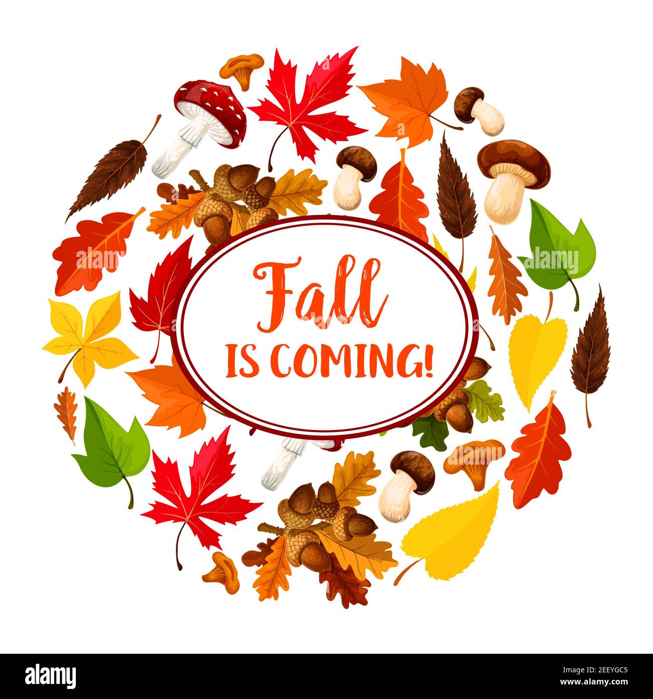 Red pine birch tree Stock Vector Images - Alamy