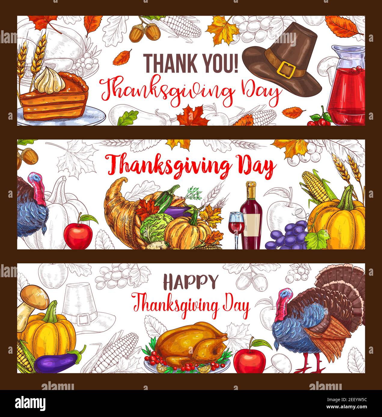 An acorn of turkey oak Stock Vector Images - Alamy