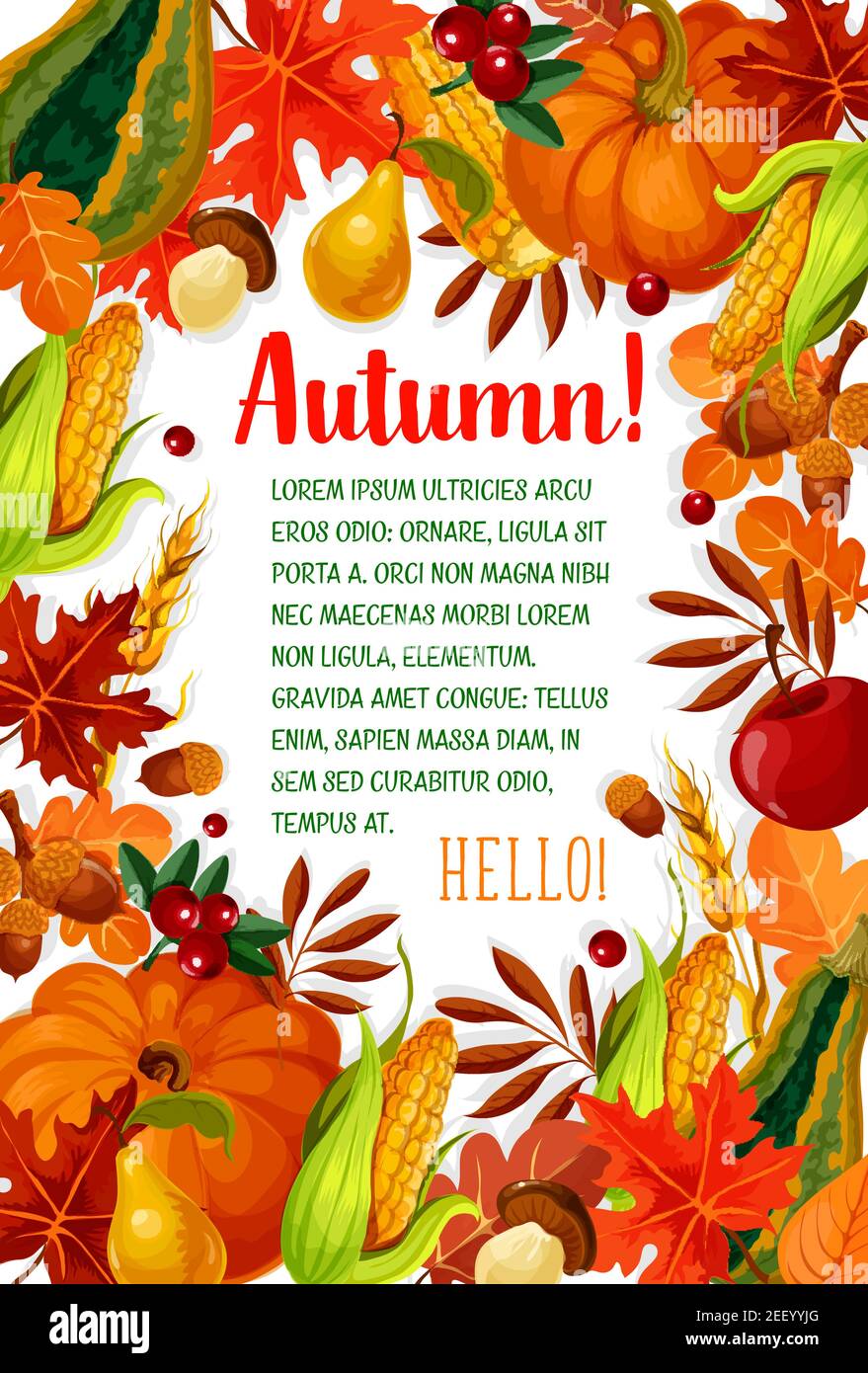 Hello Autumn poster with fall season frame. Autumn leaf, orange pumpkin ...