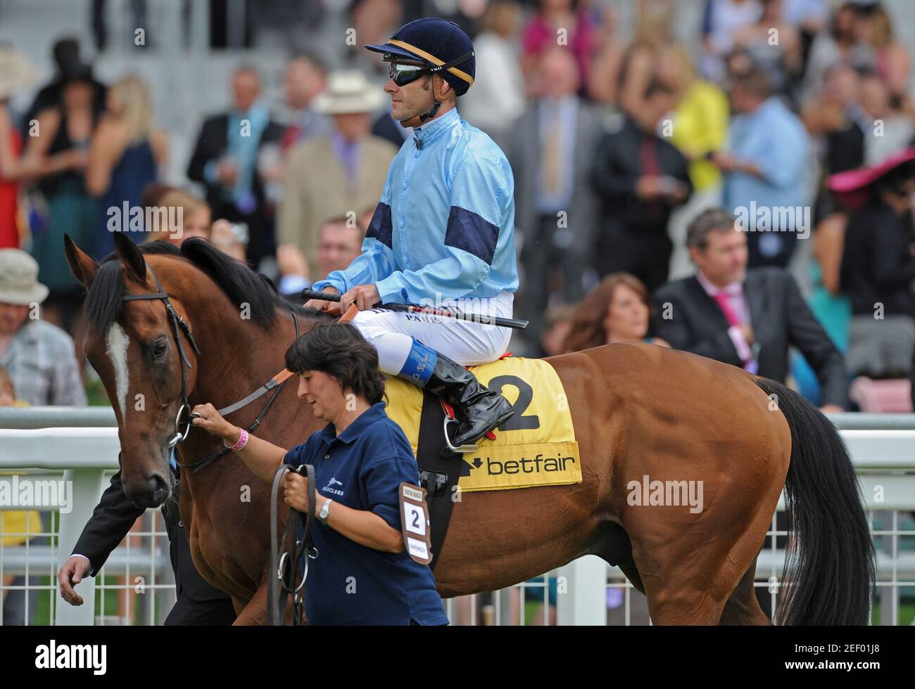 Harbinger ascot hi-res stock photography and images - Alamy