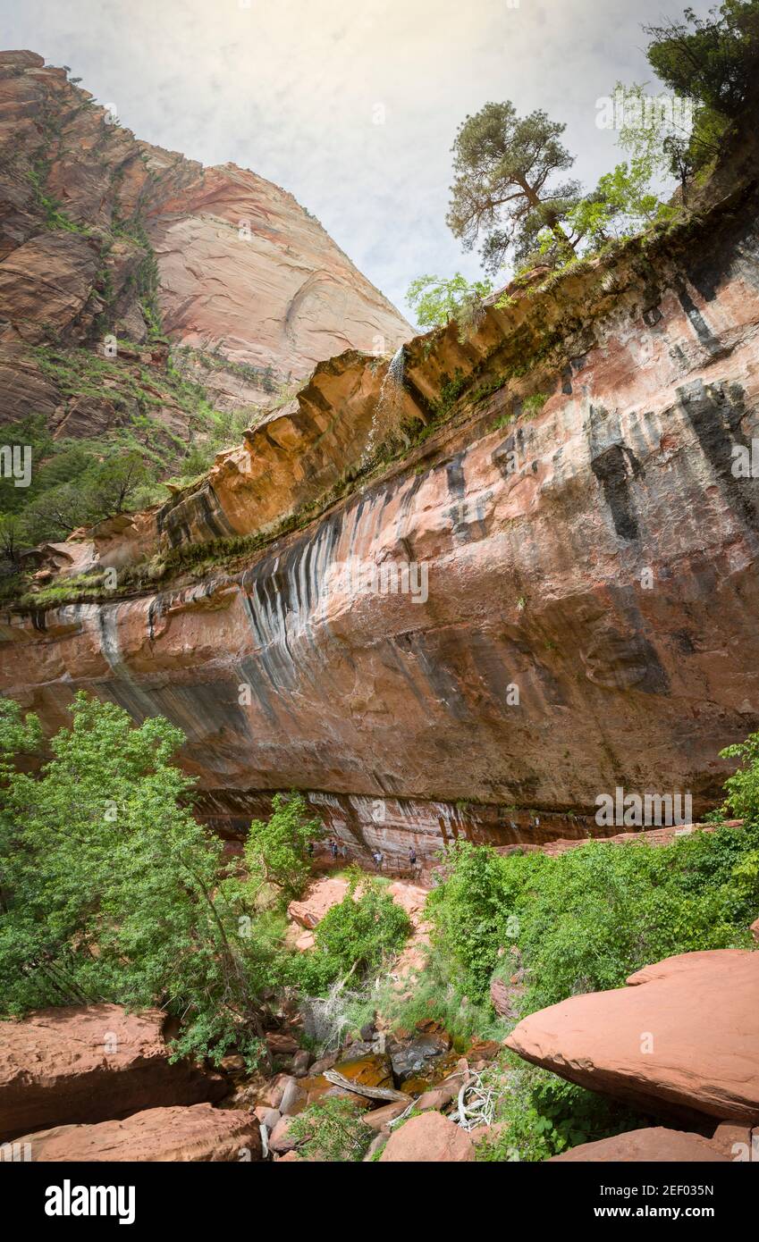 Lower Emerald Pools waterfall above tourists walking on Emerald Pools Trail. No recognisable ...