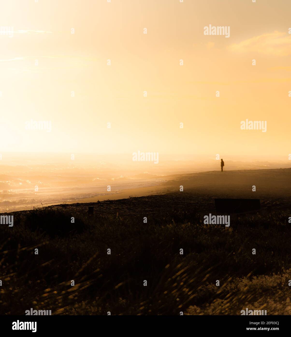 solitary person on the beach and in the middle of the immensity of the ...