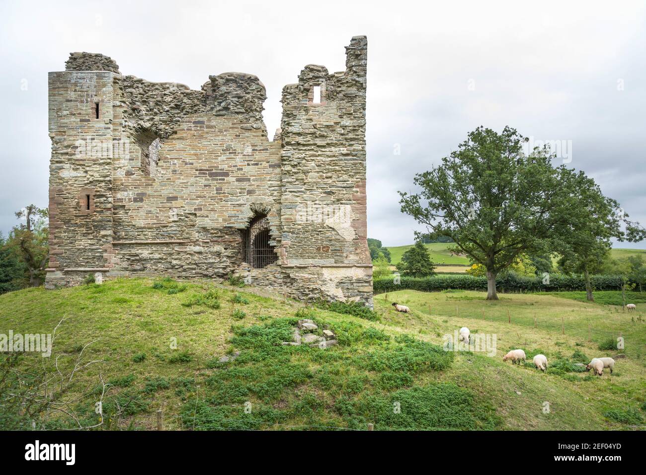 Exterior of Hopton Castle, remains of an ancient castle in Shropshire ...