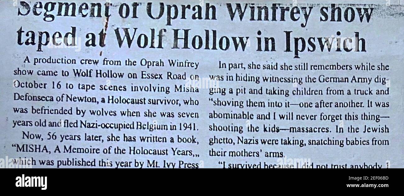 MISHA AND THE WOLVES, 2021. © Netflix / Courtesy Everett Collection ...