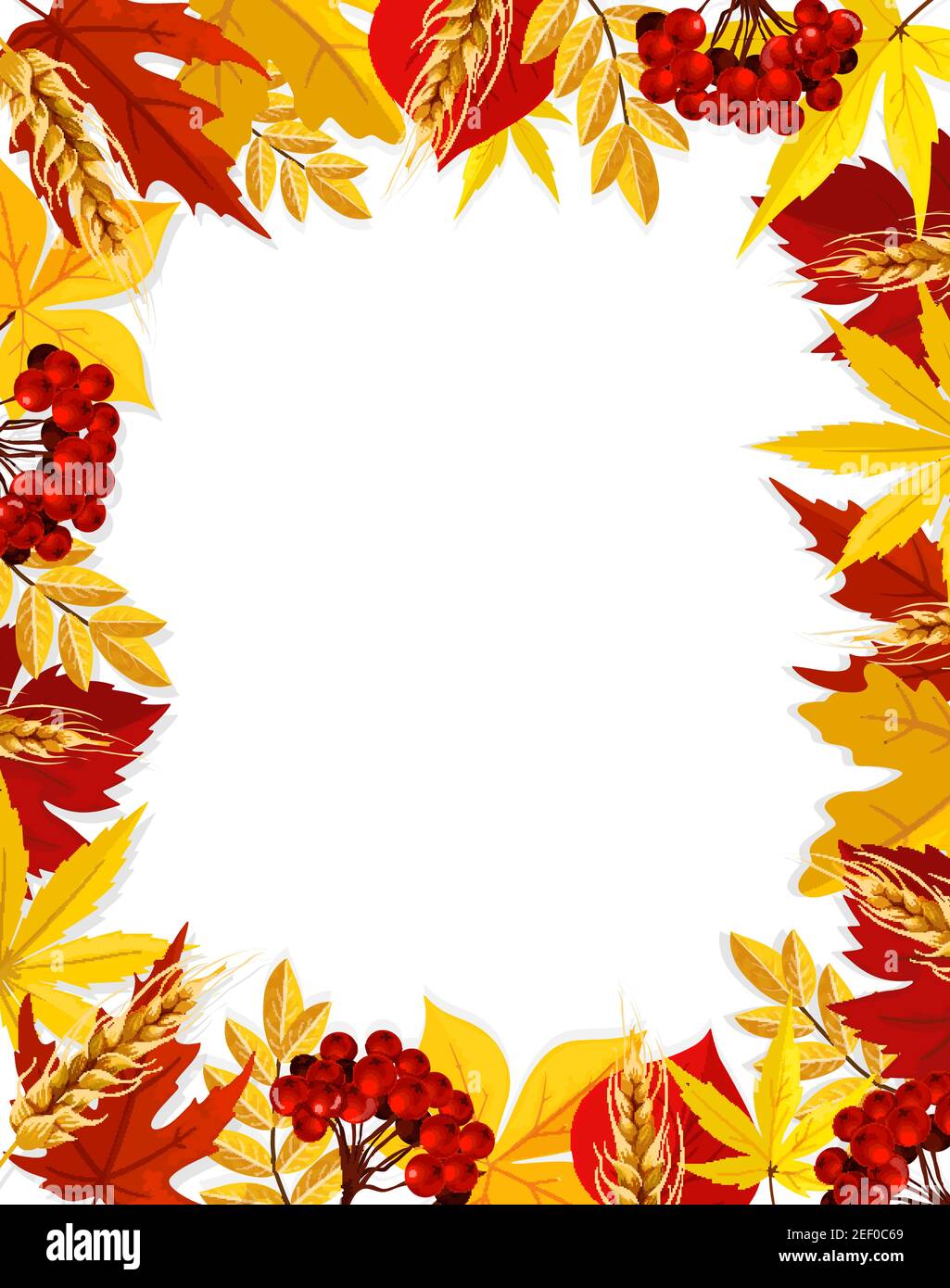 Autumn poster template with blank space and foliage frame of maple ...