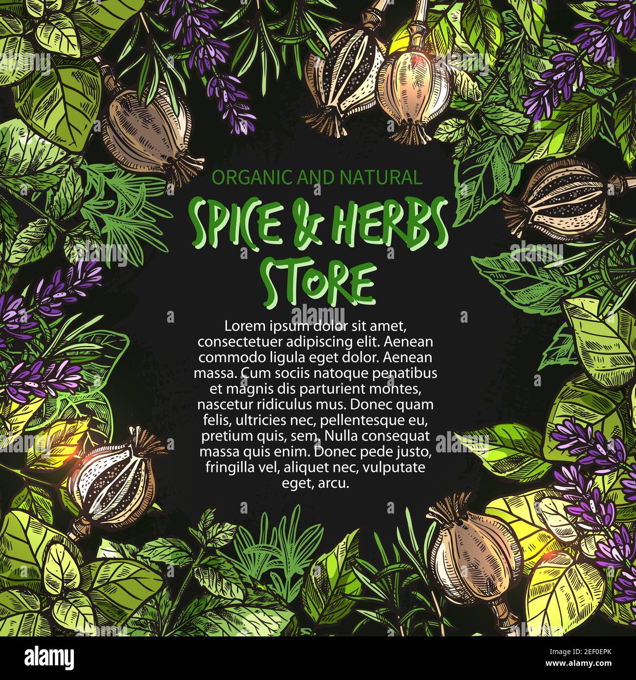 Cumin farm Stock Vector Images - Alamy