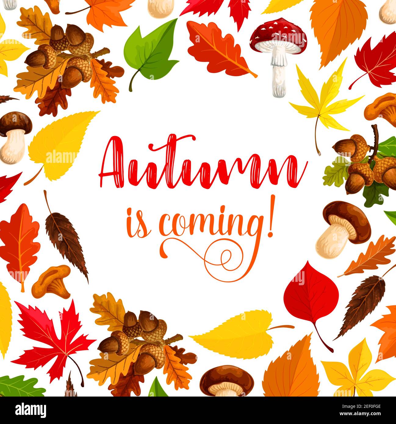 Autumn is coming vector poster with fall season forest nature. Fallen ...