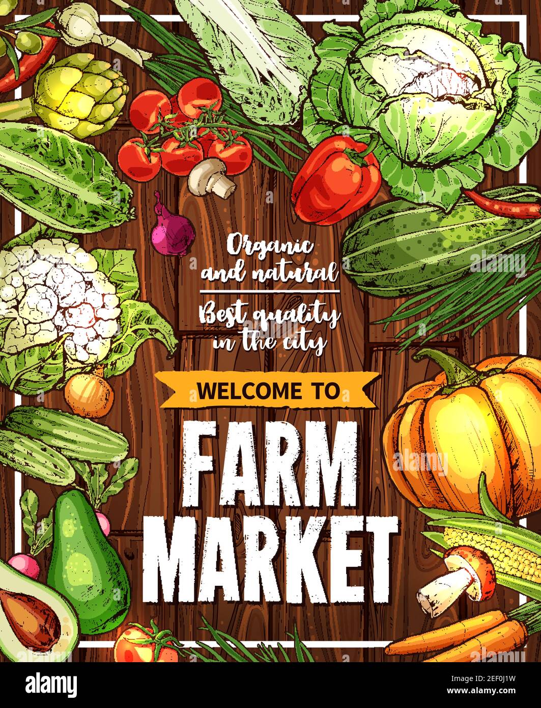 Farm market vegetables sketch poster design of organic veggies. Vector ...