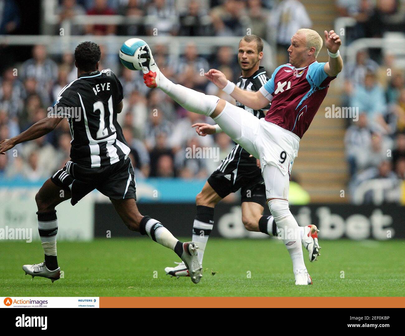 David habib hi-res stock photography and images - Alamy