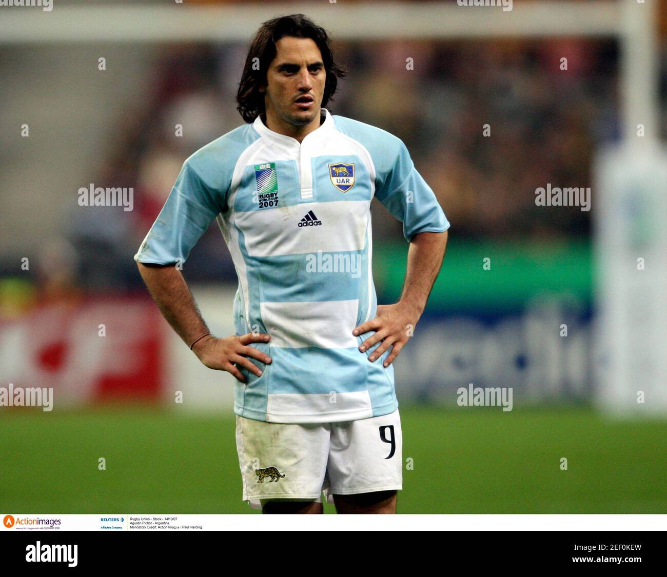 Pichot argentina hi-res stock photography and images - Alamy