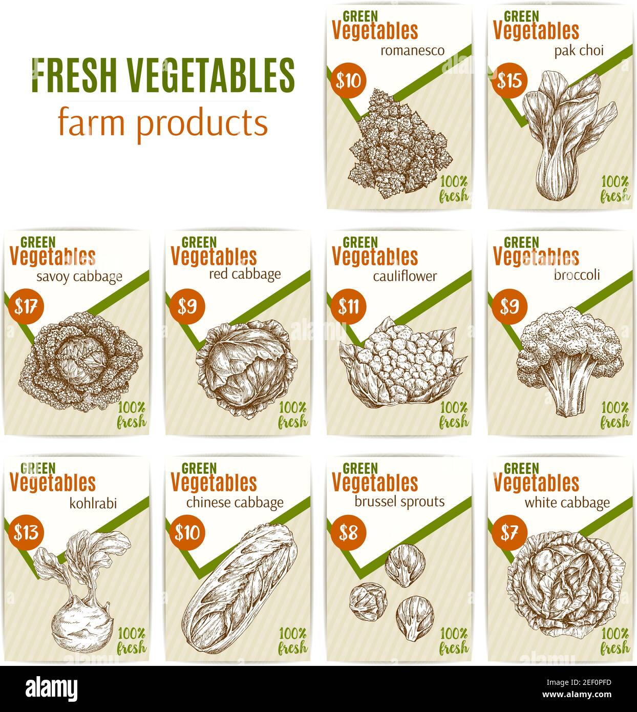 Salad sprout Stock Vector Images - Alamy