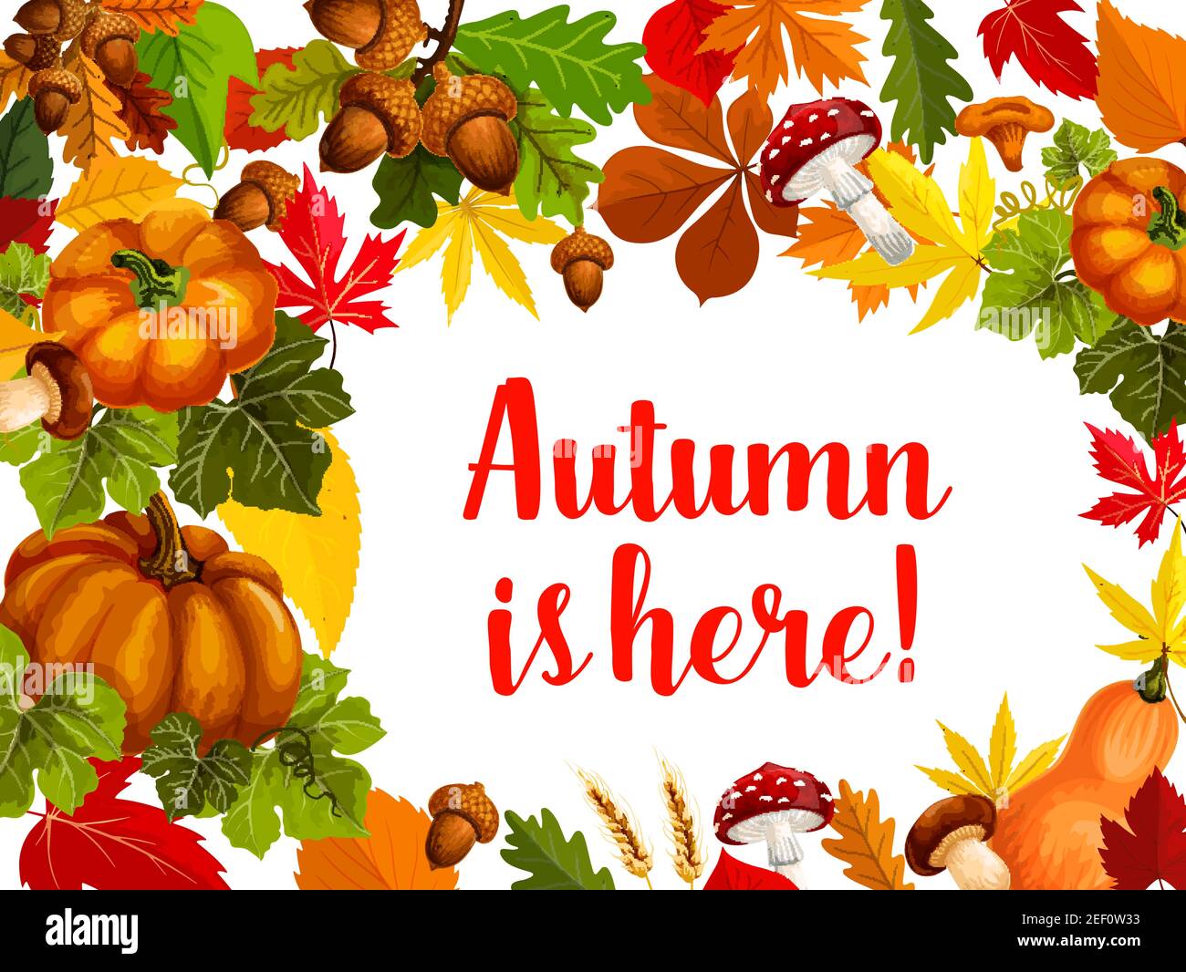 Autumn season poster with fall nature leaf, pumpkin and mushroom frame ...