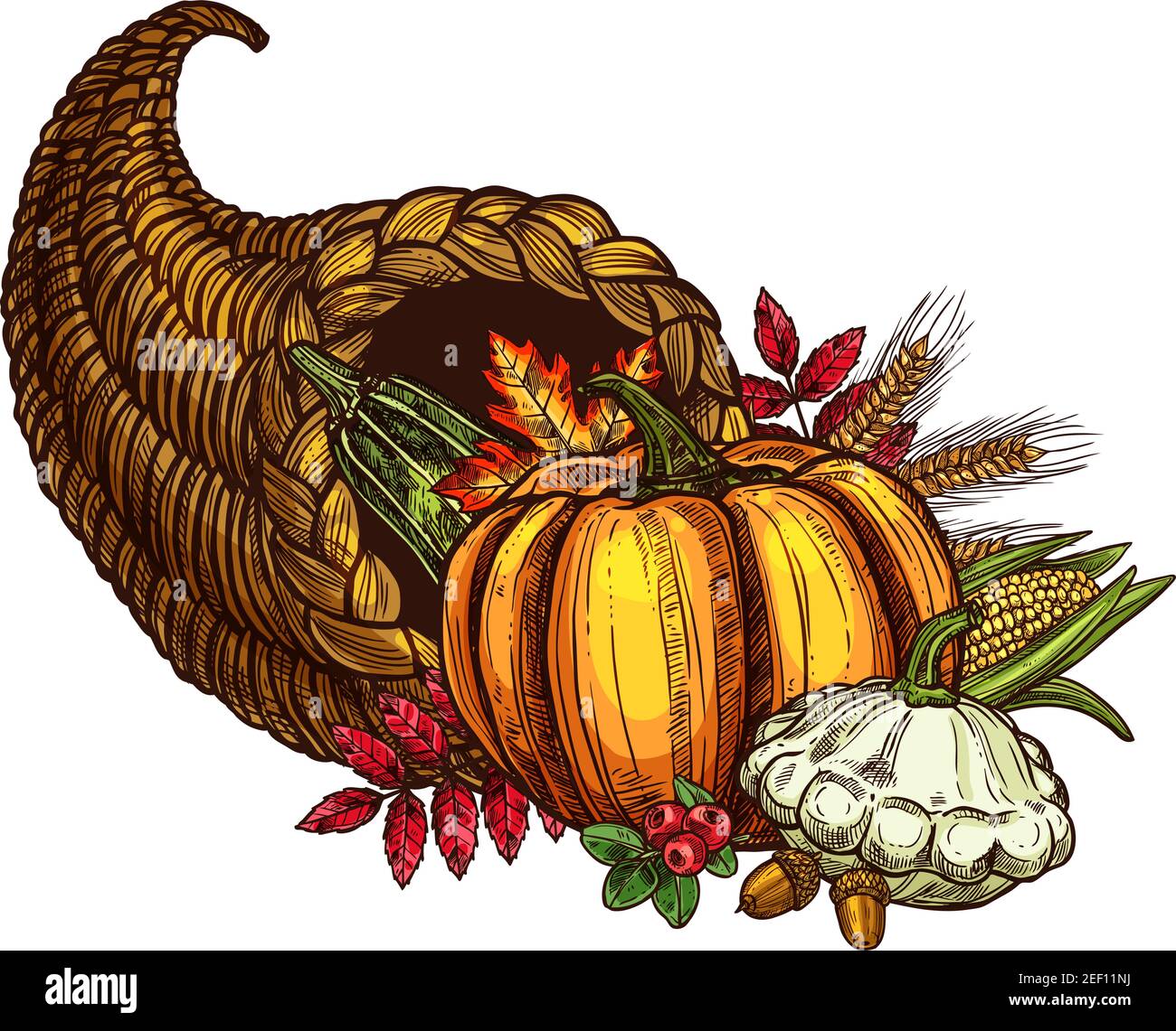 Thanksgiving Day cornucopia and autumn harvest sketch. Vector isolated ...