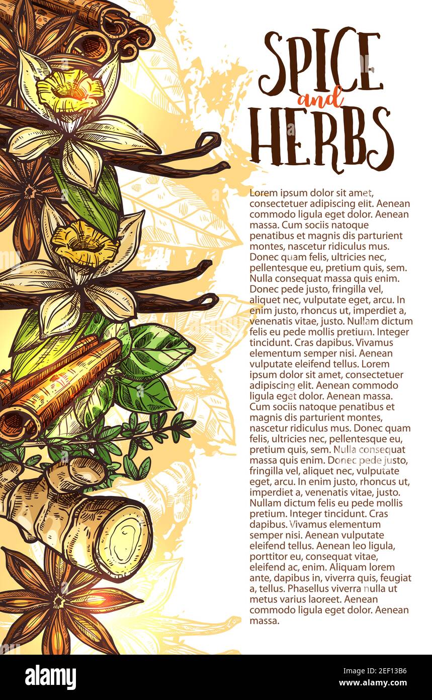 Herbal store Stock Vector Images - Alamy