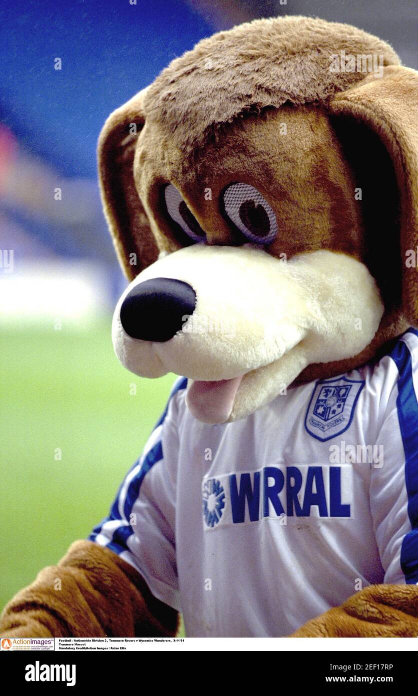 Wycombe wanderers mascot hi-res stock photography and images - Alamy