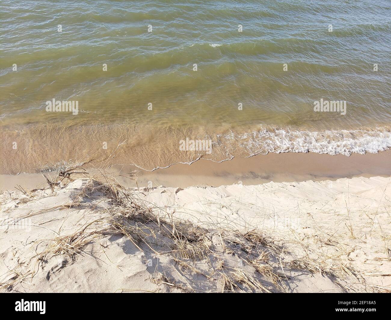 Lake michigan shoreline view hi-res stock photography and images - Alamy