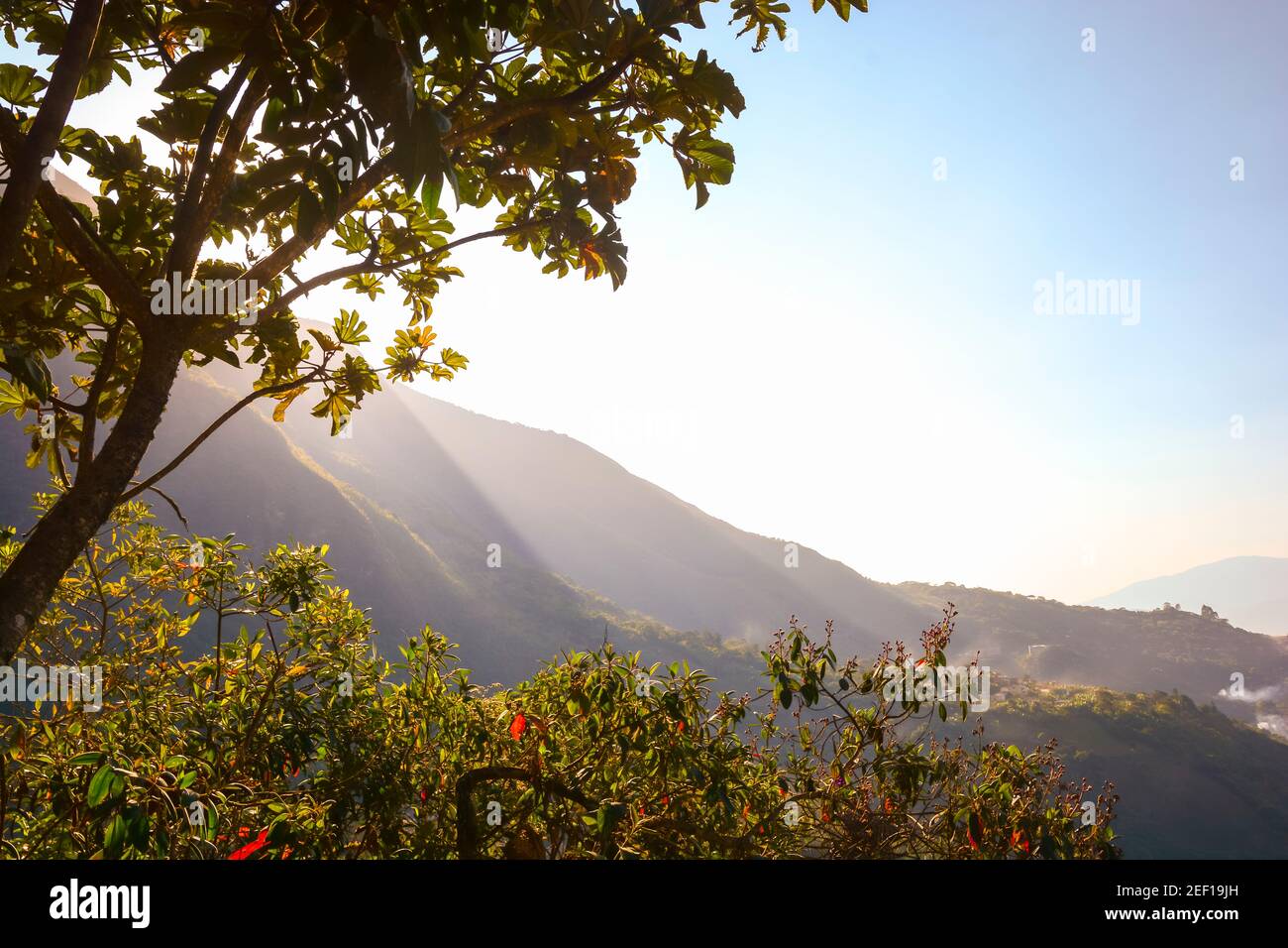 Brightful hi-res stock photography and images - Alamy