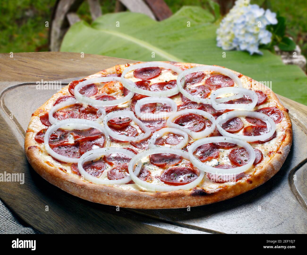 Pizza pepperoni Stock Photo - Alamy