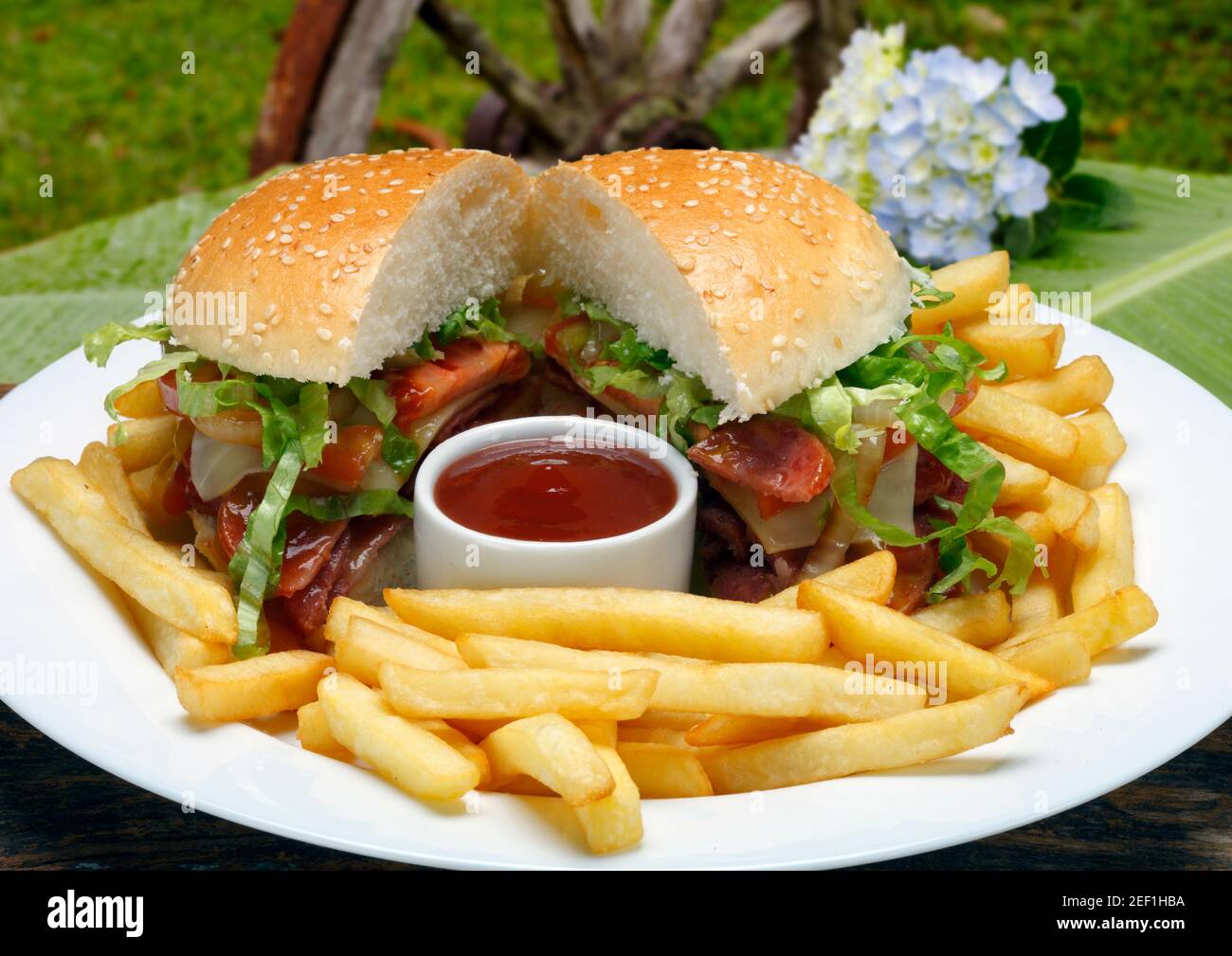 Hamburger with fries Stock Photo - Alamy