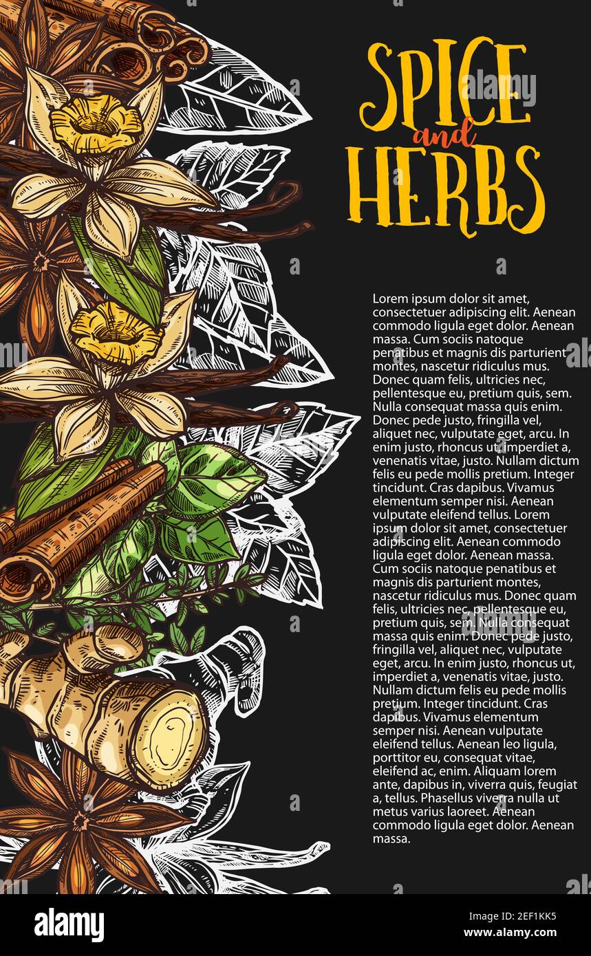 Vegetable garden herb border Stock Vector Images - Alamy