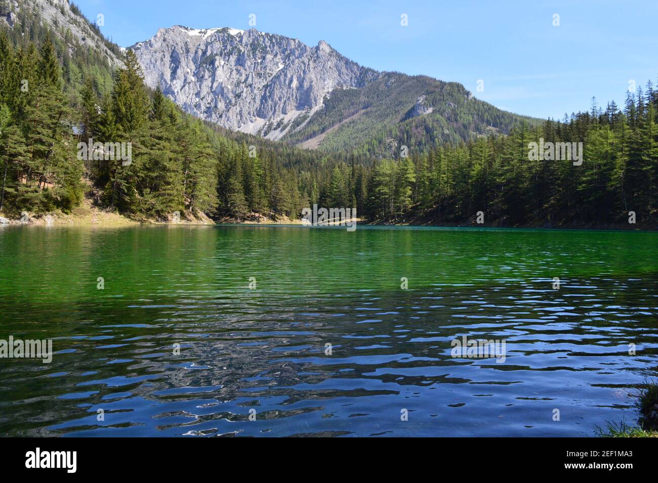 Spring trip hi-res stock photography and images - Alamy