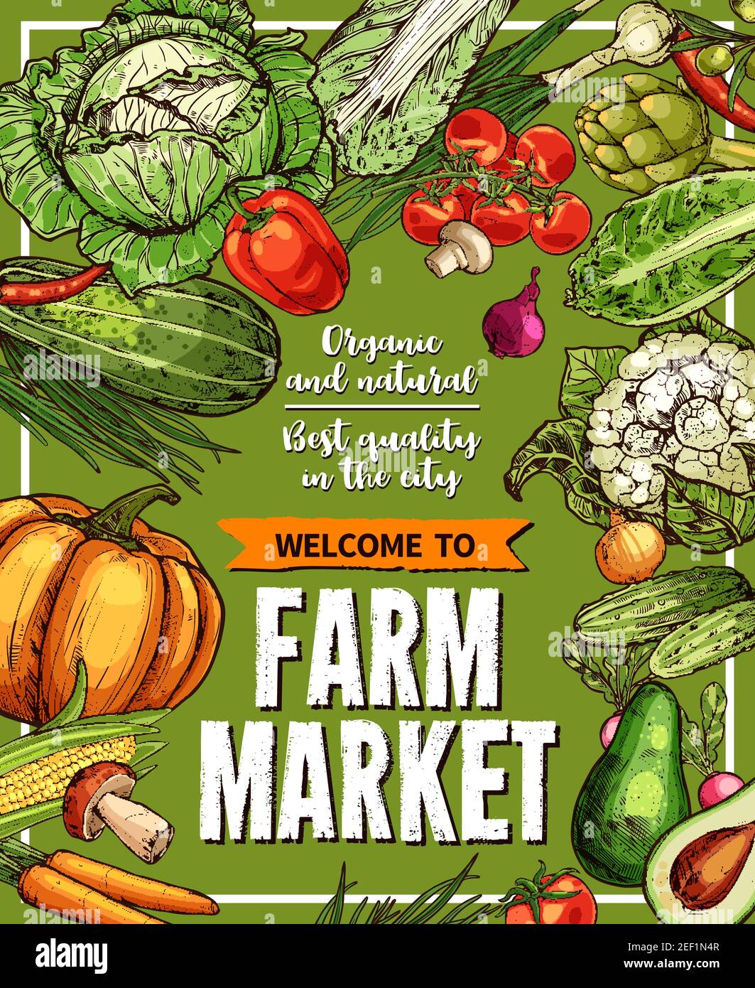 Vegetables and fresh veggies sketch poster for vegetable farm market ...