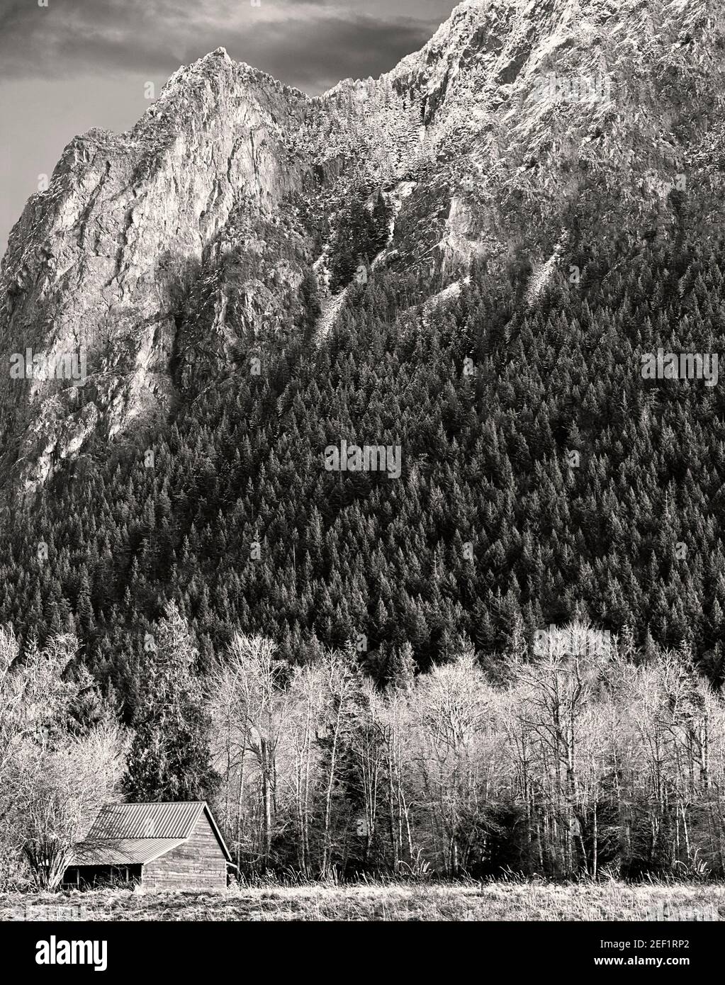 Mt. Si in North Bend, WA Stock Photo - Alamy