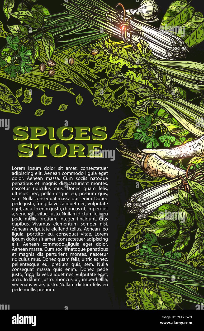 Herbs and spices store poster design template. Vector sketch organic ...