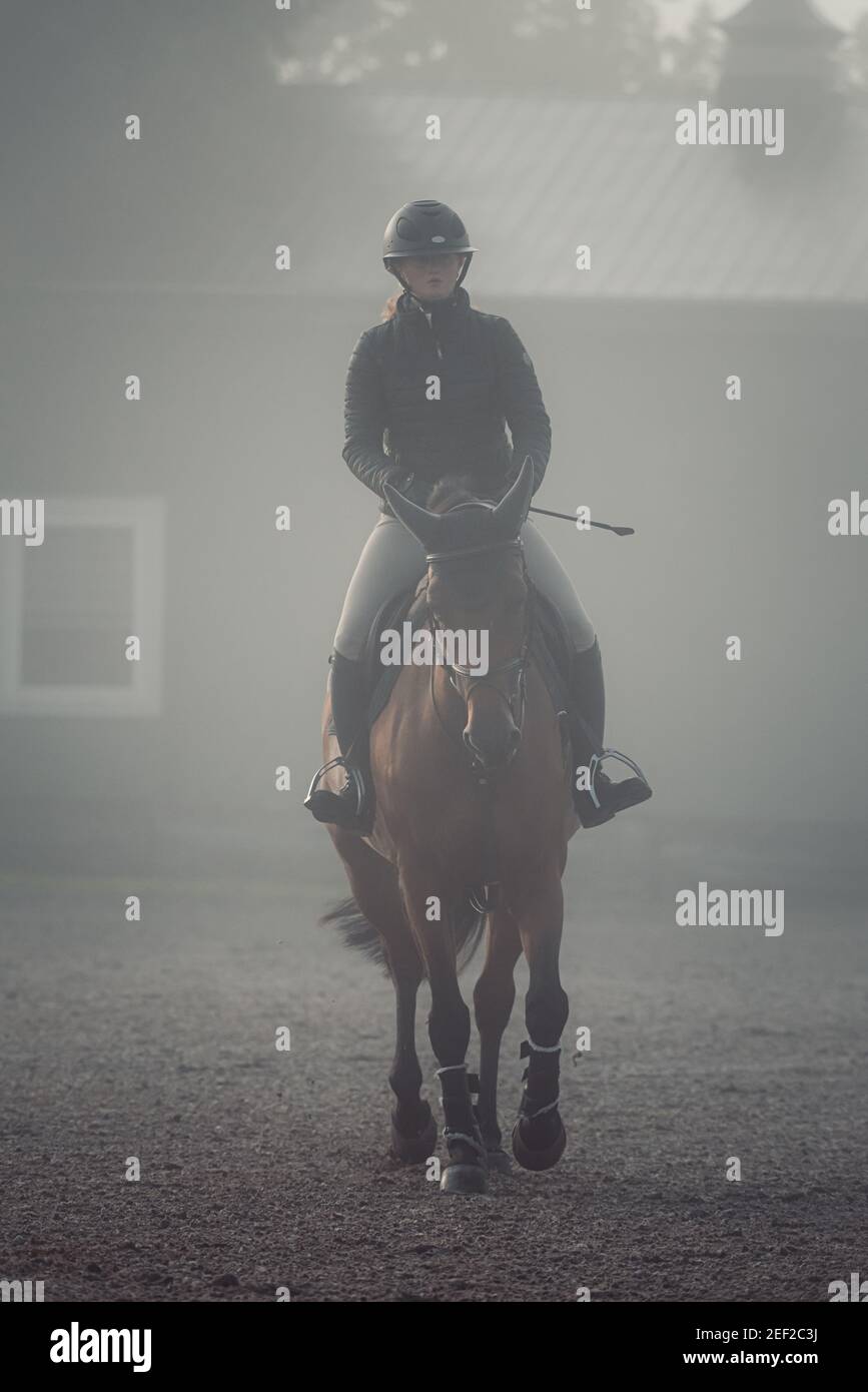 Riders in the morning Fog Stock Photo - Alamy