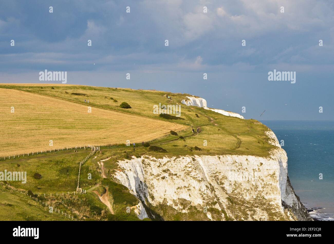 Mesmerizing view of a hiking trail at the top of White Cliffs of Dover ...